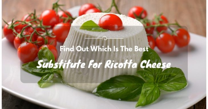 Find Out Which Is The Best Substitute For Ricotta Cheese
