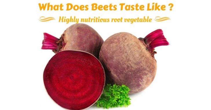 All About the Beets: What Does Beets Taste Like