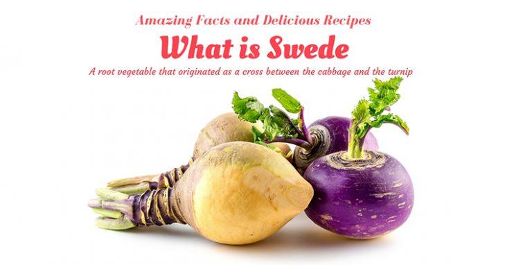 What is Swede (Amazing Facts and Delicious Recipes)
