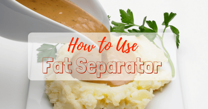 Here's a Complete Guide on How to Use a Fat Separator
