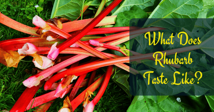 What Does Rhubarb Taste Like? The Taste You Need To Know