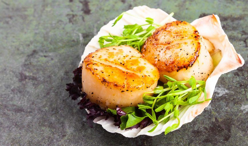 What do Scallops Taste Like: Things You Must Know About Scallops
