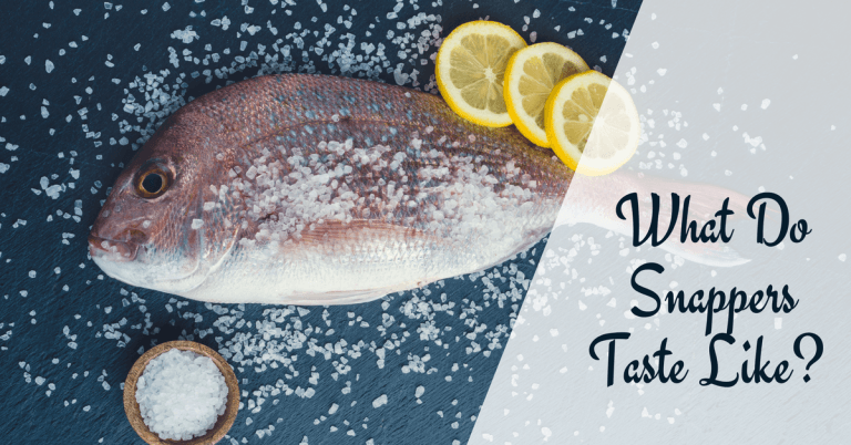 What Do Snappers Taste Like? The Taste is Right Here